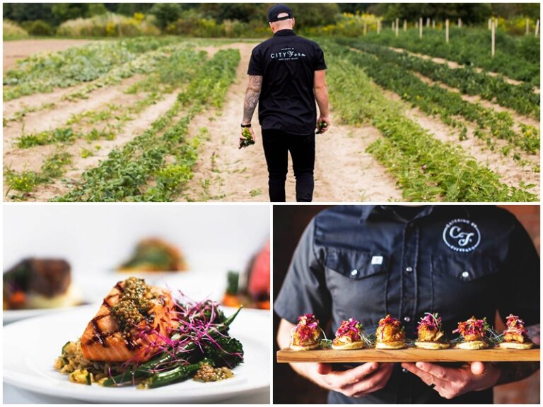 10 Best Catering Companies in Hamilton